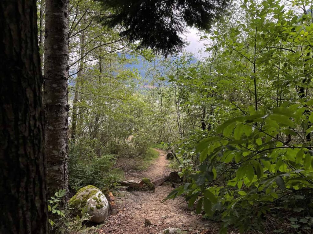 Camping at Jones Lake (aka Wahleach Lake), BC – Everything You Need To ...
