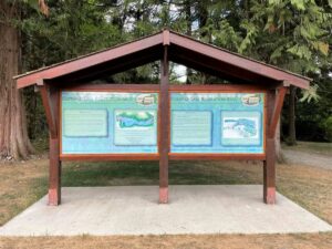 Hayward Lake in Mission, BC – Everything You Need To Know - Burrard ...