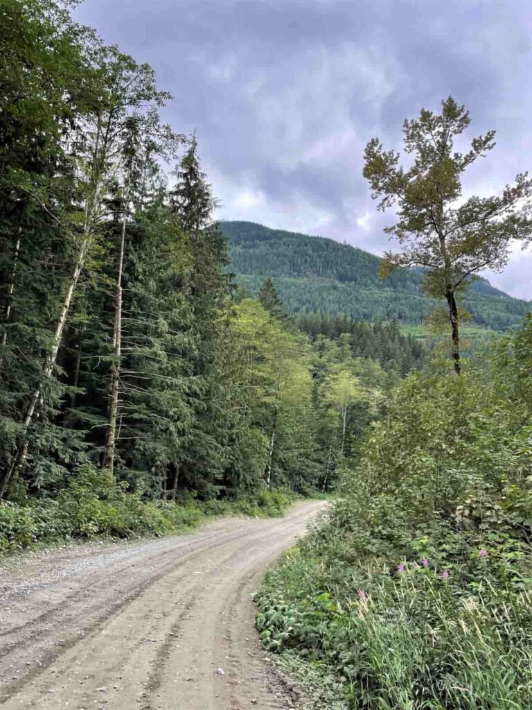 Camping at Jones Lake (aka Wahleach Lake), BC – Everything You Need To ...